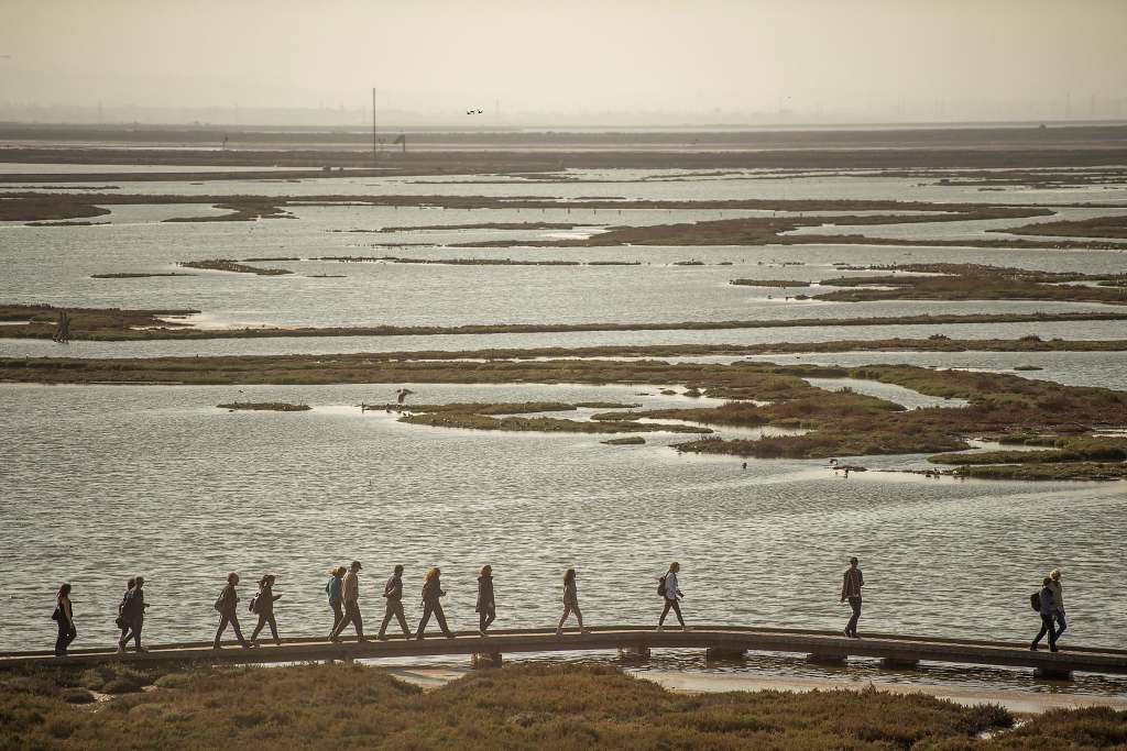 KEY MILESTONE IN SEA-LEVEL RISE DESIGN COMPETITION : Bay Area Council